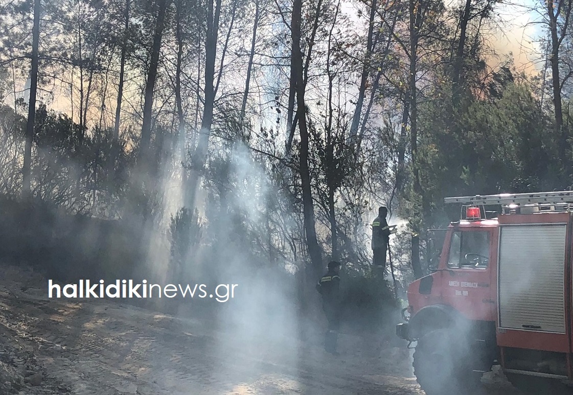 Φωτιά Άγιο Όρος: Παραμένουν οι ισχυρές δυνάμεις -ΦΩΤΟ- - Χαλκιδική ...